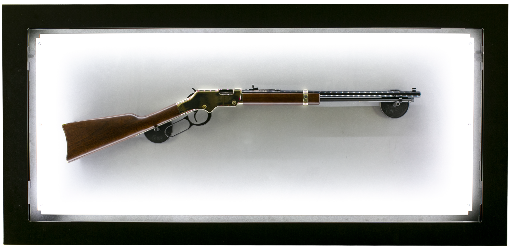 Rifle and Shotgun InvictaSafe - InvictaSafe